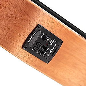 Gold Tone M-BassFL 23-Inch Scale Fretless Acoustic-Electric MicroBass with Gig Bag