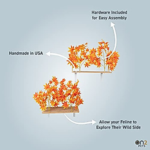 On2Pets Cat Shelves Wall-Mounted Cat Trees Cat Furniture for Climbing, Playing and Relaxing, Set of 2, Indoor Cat Shelf Made in USA… (Orange Blaze, Rectangle)