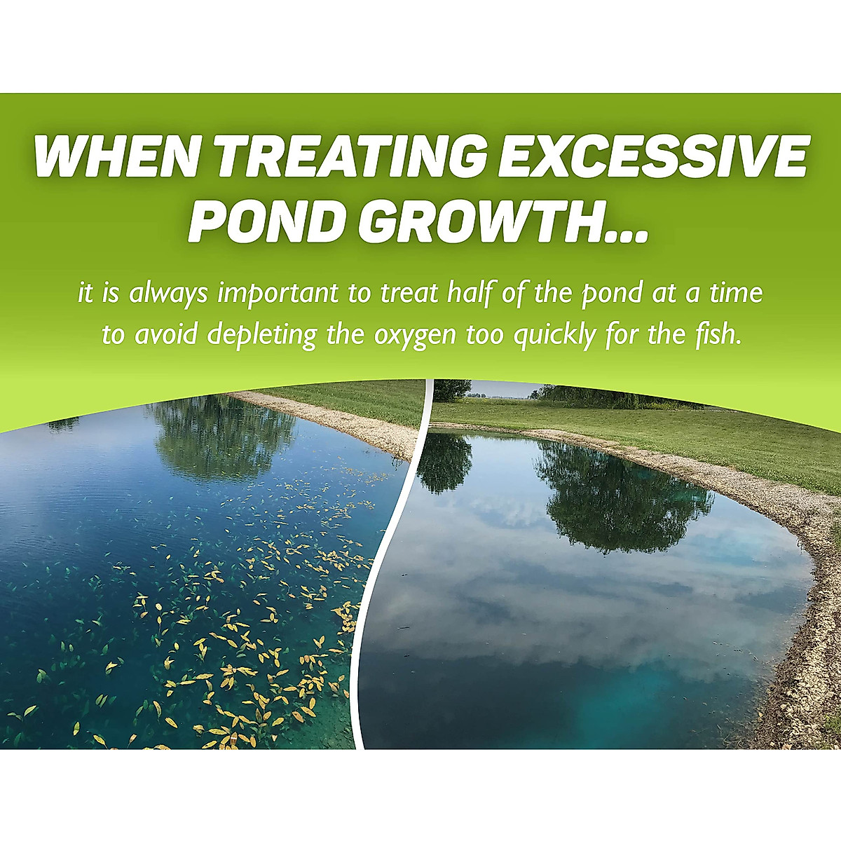 Tsunami DQ Aquatic Herbicide - Gallon - 37.3 Percent Diquat Dibromide - Concentrated Aquatic Weed Killer for Lakes and Ponds - Duckweed, Watermeal, Curly Leaf, Pondweed & Many More