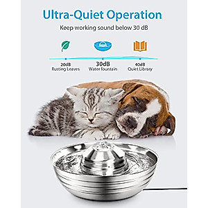Huicocy Cat Water Fountain Stainless Steel, 67Oz/2L Pet Fountain with Ultra-Quiet Design, Visible Water Level, 360° Automatic Cat Water Dispenser Easy Assemble and Clean,Supply Water Even Power Off