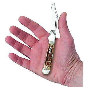 Case XX WR Pocket Knife Mini Copperlock Amber Bone W/Shield Item #133 (61749L SS) 3 5/8 inches Closed