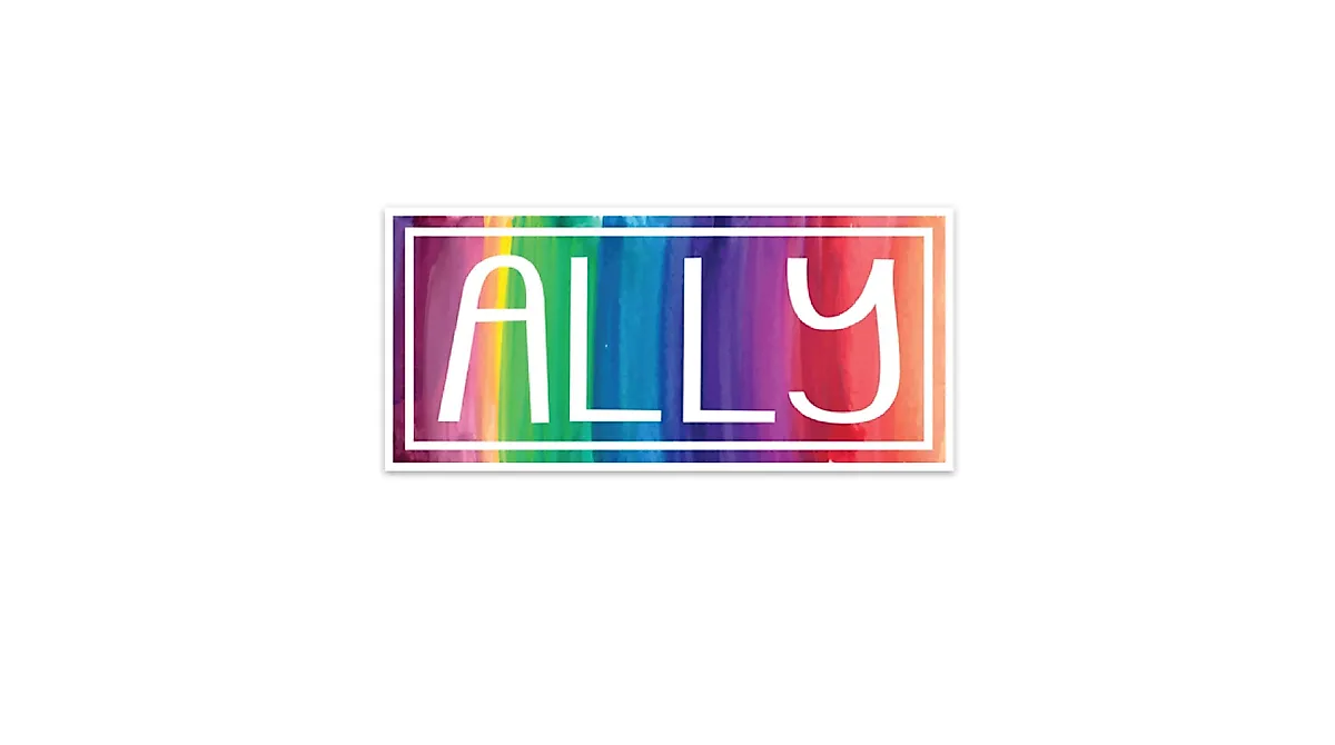 Set of 2 Pride Ally Stickers, Ally Stickers, Pride Stickers, Pride ...