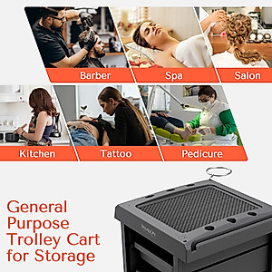 TASALON Salon Trolley Cart for Salon Station - Space Saving Salon Rolling Cart for Extra Storage - Hair Salon Beauty Cart - 6-Tray Salon Cart - Multipurpose Tool Cart - Tattoo Tray