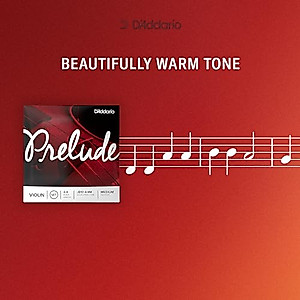 D'Addario Prelude Violin String Set, 4/4 Scale, Medium Tension – J810 4/4M - Solid Steel Core, Warm Tone, Economical and Durable – Educator’s Choice for Student Strings – 1 Set