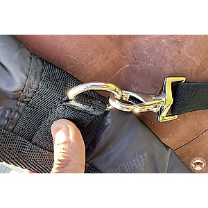 HILASON 1200D Turnout Light Winter Waterproof Rain Sheet Horse Sheet Black | Horse Sheet | Horse Turnout Sheet | Horse Sheets for Winter | Waterproof Turnout Sheets for Horses 75 in