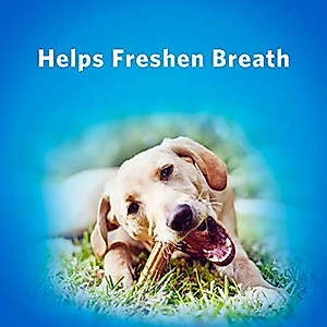 Purina DentaLife Made in USA Facilities Large Dog Dental Chews, Daily - 18 ct. Pouch