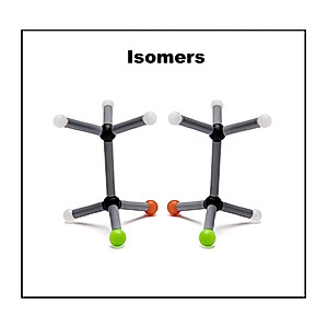 Organic Chemistry Molecular Model Set (140 Pieces)