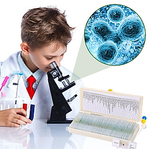 OOZSTAR 60 Pieces Prepared Microscope Slide Set with Specimens, Plant Animal Cell Science Education Microscope Slides for Bioscience Labs