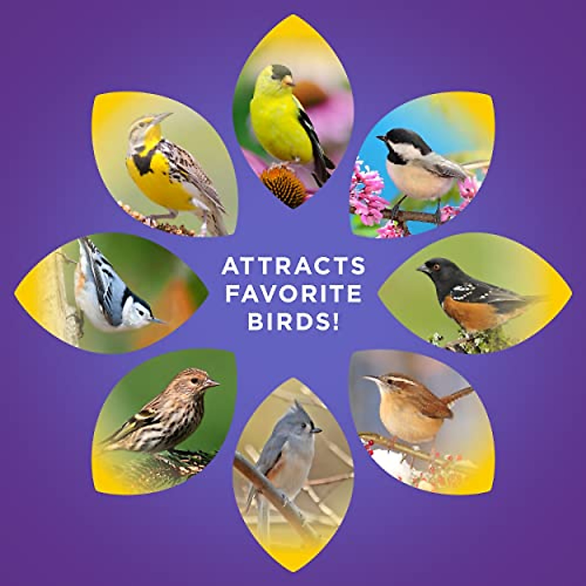 Audubon Park No Waste Blend Wild Bird Food, Premium Shell Free and No Mess Bird Seed for Outside Feeders, 5-Pound Bag