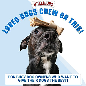 Bullibone SuperBrush: Dog Teeth Cleaning Brushing Toothbrush Stick - Long Lasting Nylon Apple Cinnamon Chew Toy for Oral Care and Dental Health