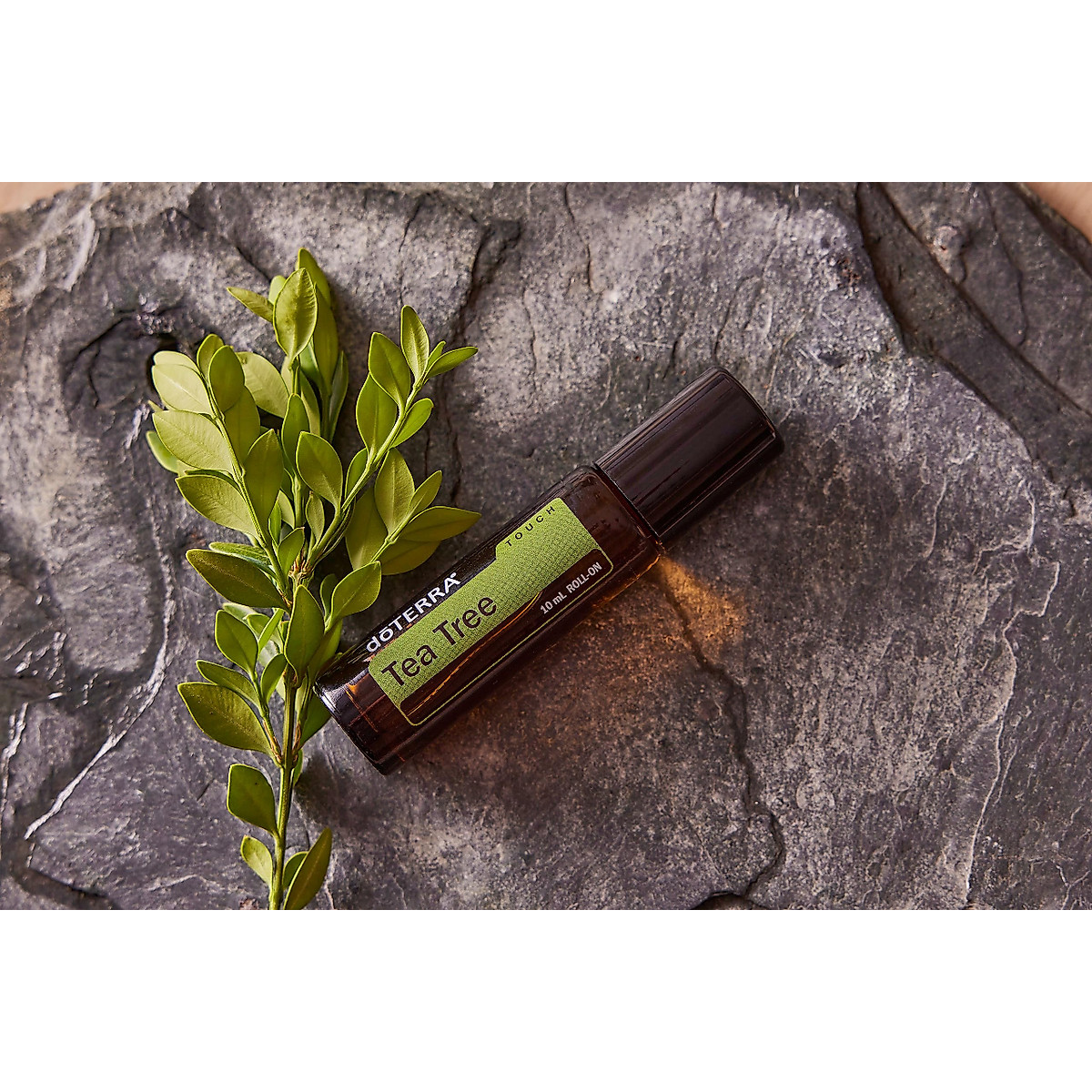 doTERRA - Melaleuca (Tea Tree) Touch Essential Oil - 10 mL Roll On
