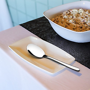 Parlynies 8 Pieces Large Serving Spoons, Stainless Steel Buffet Serving Spoons