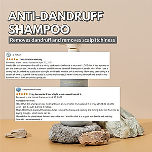 LA'DOR Anti-Dandruff Shampoo (16.9 fl.oz.) - For Oily Scalp with Dandruff, Gently Cleanses Away Dead Skin Cells, Alleviates Itching and Irritation LADOR