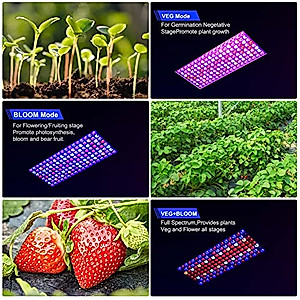 WZDRAGON 2024 Newest BW1000 LED Grow Lights Double Chips Full Spectrum for Greenhouse and Indoor Plant Veg and Flower Growing [White]
