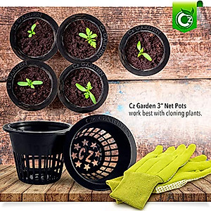 Cz Garden Supply 3 inch Net Cups Heavy Duty Pots Wide Rim Design - Orchids • Aquaponics • Aquaculture • Hydroponics Slotted Mesh for Kratky Wide Mouth Mason Jars