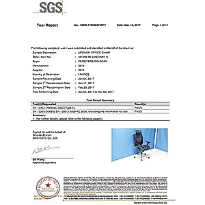 Cedric Office Chair,Breathable Mesh Computer Chair with Ergonomic Adjustable Lumbar Support, Black Swivel Desk Chair with Adjustable Armrest and Headrest, Mesh Seat,BIFMA Certification No 5.1