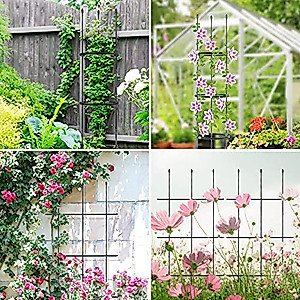 Garden Trellis, 2 Pack Shaped Plant Support, 48" Tomato Cages for Garden, Trellis for Potted Plants Climbing Plants Outdoor Vine Pots Flower Vegetable with 18Pcs Plant Stakes, 6 Shape-adjustable Rings