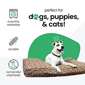 Molly Mutt Huge Dog Bed Cover - Daysleeper Print - Measures 36”x45”x5’’ - 100% Cotton - Durable - Breathable - Sustainable - Machine Washable Dog Bed Cover