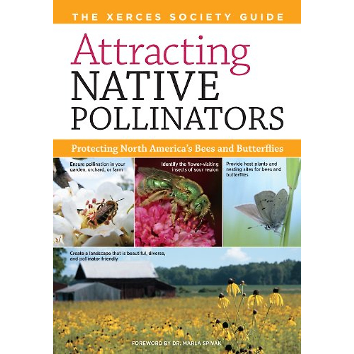 Attracting Native Pollinators: The Xerces Society Guide, Protecting North America's Bees and Butterflies