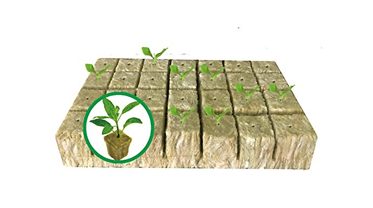 Rockwool Starter Plugs for Hydroponics | Rapid Root Growth