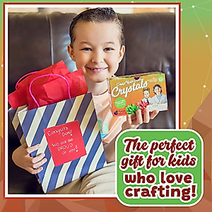 PURPLE LADYBUG Crystal Growing Kit for Kids for 10 Year Old Boys & Science Kits for Kids Age 12-14 - Fun STEM Projects for Kids & Science Experiments Educational Activity Kits for Teens