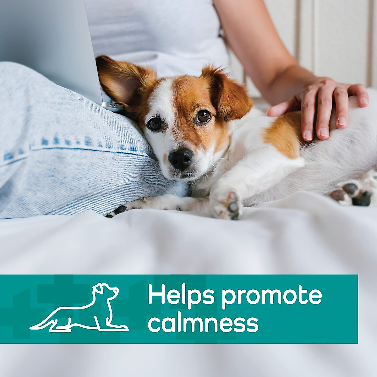 Vetality Calming Collar for Dogs, Separation Anxiety and Hip and Joint