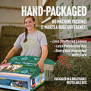 Small Pet Select 3rd Cutting Super Soft Timothy Hay Pet Food for Picky Eaters, Rabbits, Guinea Pigs, and Other Small Animals, Easy to Store Box, 40 LB