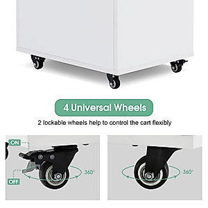 BarberPub Salon Cart with Storage Drawer Cabinet Barber Trolley with Wheels Rolling Salon Cart for Hair Stylist Beauty Organizer 2045 (White)