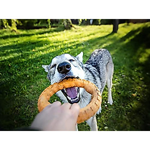 Spunky Pup Gnaw Guard Foam Dog Toy | Strong Dental Chew Toy | Promotes Healthy Teeth & Gums | Large Ring
