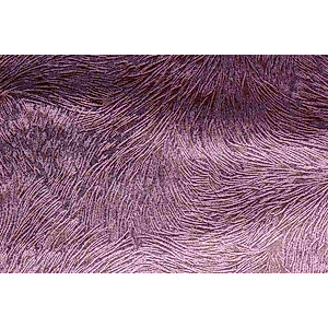 72'' Huntsville Lavender Brocade Velvet Fabric, Ideal Embossed Material for Upholstery Coaches and Chairs, Drapery, Pillows, Slipcovers, Tablecloths, Sewing, DIY, Etc - Sample 3x3 Inch