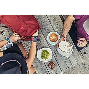 Gregory Mountain Products Rhune 22 Everyday Backpack