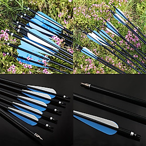 AMEYXGS 12 Pack 30 Inch Archery Aluminum Arrows Spine 300 Hunting Arrows Target Practice Arrow with Field Point for Recurve Bow or Compound Bows (arrow)