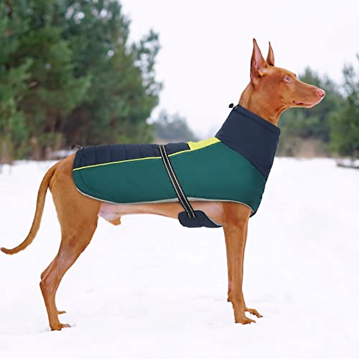 Warm Dog Winter Coat Reflective Dog Cold Weather Jacket Turtleneck Dog Vest Thick Fleece Lining Vest Windproof Dog Snow Suit Pet Apparel for Small Medium Large Dogs (Medium)
