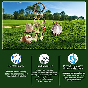 DAMPET 5 Strings， Bunny Teeth Grinding Chew Toys, Rabbit Cage Hanging Chew Toys, All Natural Materials for Guinea Pigs, Hamsters, Rabbits and Rats