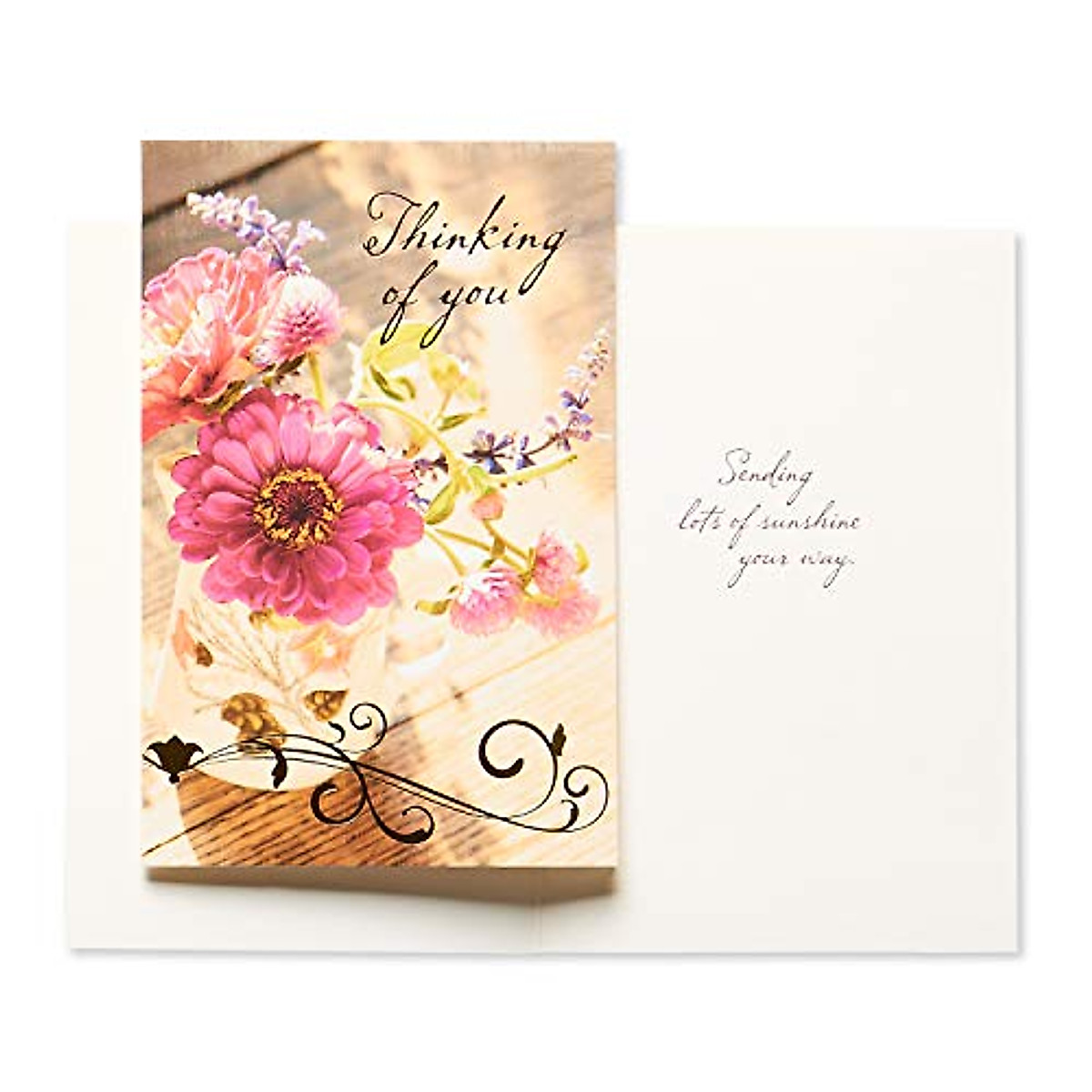 American Greetings Friendship Cards, Assorted (12-Count)