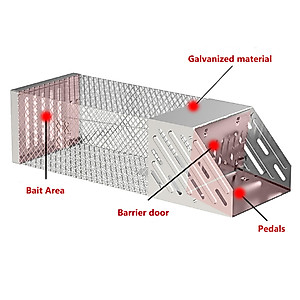 Humane Mouse Trap Combination Automatic Continuous Catching Cage Extended Metal Trap Sensitive Foot Pedal Trigger Easy Setup Indoor Outdoor Rat Trap Rat Traps for Outside (Silver)