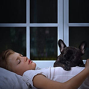 MecTo Window Privacy Film Opaque One Way Window Film Removable Static Cling Non Adhesive Privacy Window Film Sun Blocking Window Tint for Home Office (Black-Silver, 17.7 x 78.7 Inch)