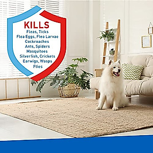 Adams Plus Flea & Tick Indoor Fogger, 3 x 3 oz Cans, Kills Fleas, Flea Eggs, Ants, Flies, Wasps, Cockroaches, Mosquitoes, and Many Other Listed Pests, Each Fogger Treats Up To 3000 Cu Ft, 9 Oz