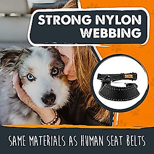 Mighty Paw Dog Seat Belt | Headrest Dog Seatbelt Tether, Pet Seat Belt for Car, Dog Car Leash, Dog Safety Belt for Car, Seatbelt for Dog in Car, Dog Seat Belt for Car, Dog Car Seat Belt Large - Puppy