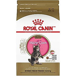 Royal Canin Feline Breed Nutrition Maine Coon Kitten Dry Cat Food, 3 lb