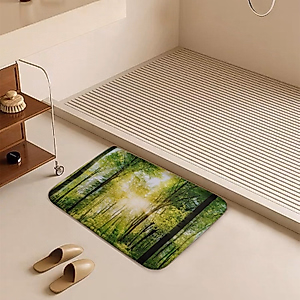 Nufar Scenic Forest Fresh Green Deciduous Trees Personalized Door Mat Home Welcome Mats Outdoor and Indoor,Front Welcome Mat Doormat for Home Entrance,Outside Entry,Yard,Floor,Patio 16x24 Inch