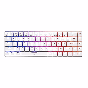 HUO JI 60% Compact RGB Wireless Mechanical Gaming Keyboard, Blue Switches, Bluetooth 5.0, Wired Keyboard 69 Keys for PC Tablet Laptop Cell Phone, White