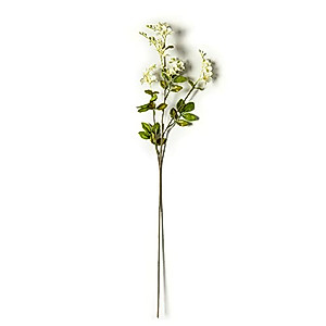 Ashland Michaels Bulk 12 Pack: Cream Vinca Spray