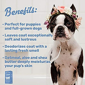 Dog Shampoo with Oatmeal and Aloe. Shea Butter for Smelly Dogs, Puppy Shampoo by Oliver's Choice 14 oz