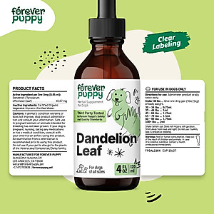 Dandelion Leaf Drops for Dogs - Kidney Health Supplement for Large, Medium & Small Dogs - Kidney Cleanse Detox Drops w/Dandelion Leaves - Dog Food Supplements for Natural Pet Kidney Support - 4 oz