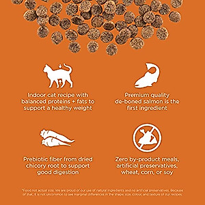 GO! SOLUTIONS Skin + Coat Care - Grain Free Dry Cat Food, 16 lb - Salmon Recipe - Cat Food for All Life Stages - with Probiotics