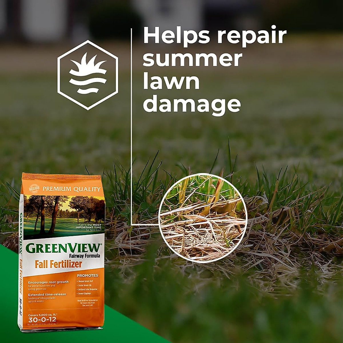 Greenview Fairway Formula Fall Lawn Fertilizer - 22.5 lb. Bag - Covers 7,500 Sq. Ft.