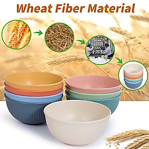 becutlery Reusable Bowls Set Unbreakable Cereal Bowls,24 OZ Wheat Straw Fiber Lightweight Bowl Sets 8, Microwave and Dishwasher Safe,Use for Ramen, Soup, Salad -Multi Color