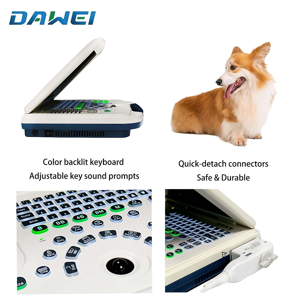 DAWEIanimed Veterinary Ultrasound Scanner Laptop Ultrasound Machine with 3.5Mhz Convex Probe for Animals Dog,Goat,Pig,Sheep use