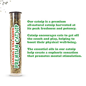 Meowijuana | Sleepy Time Bundle | Get Hung Refillable Moon and Stars Toy and Mice Dreams Catnip Blend| Promotes Play and Cat Health | Includes North American Organic Catnip